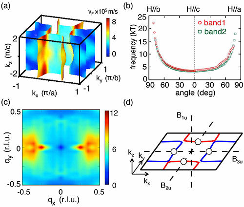 重费米子超导体UTe 2 的理论研究获进展----中国科学院