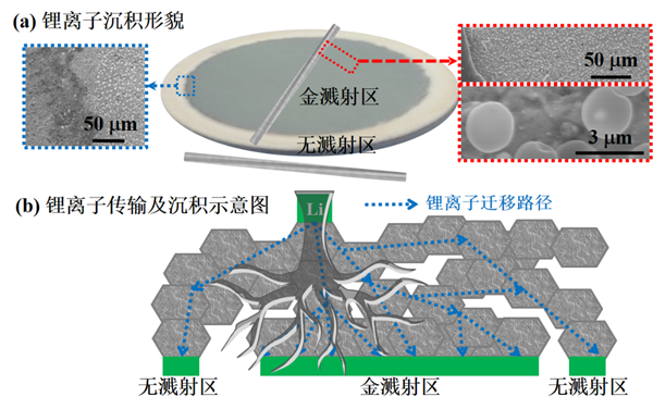 合肥研究院在全固态锂电池锂枝晶生长及抑制研究方面取得进展----中国科学院