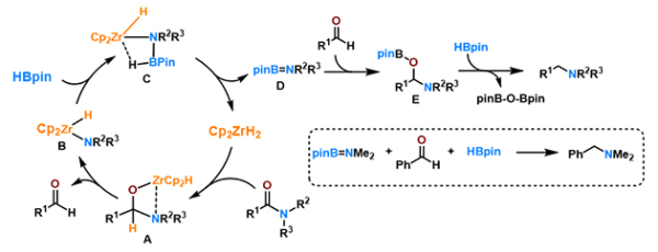 兰州化物所等在锆氢催化的酰胺硼氢化合成胺类化合物研究中取得进展----中国科学院