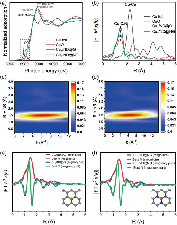 金属所亚纳米尺度原子级分散金属Cu催化加氢研究获进展----中国科学院